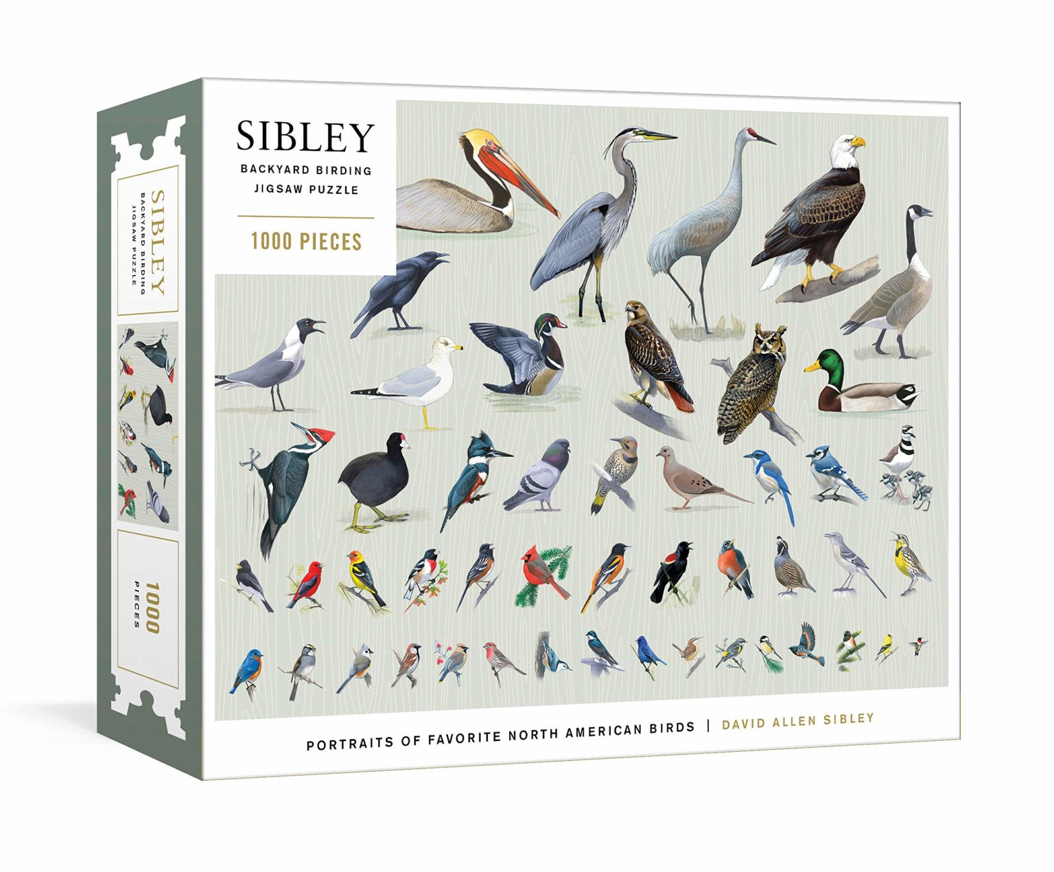 Sibley Birds Jigsaw Puzzle – 2000 pieces – Sibley Guides