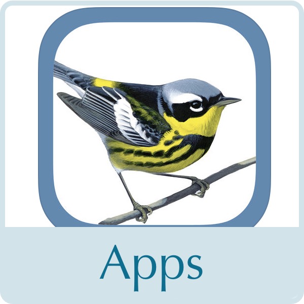 Shop – Sibley Guides