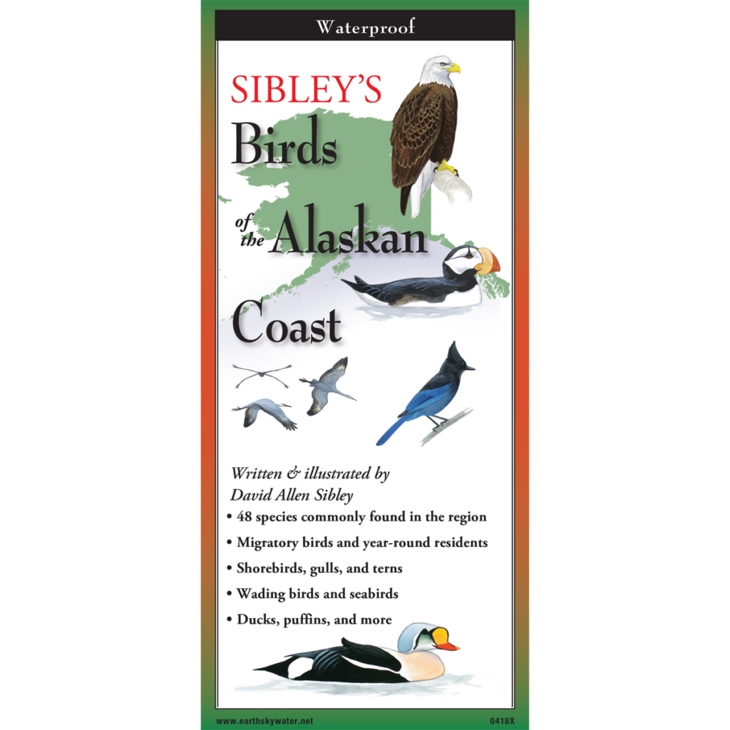 Sibley’s Backyard Birds of the Northeast – Sibley Guides