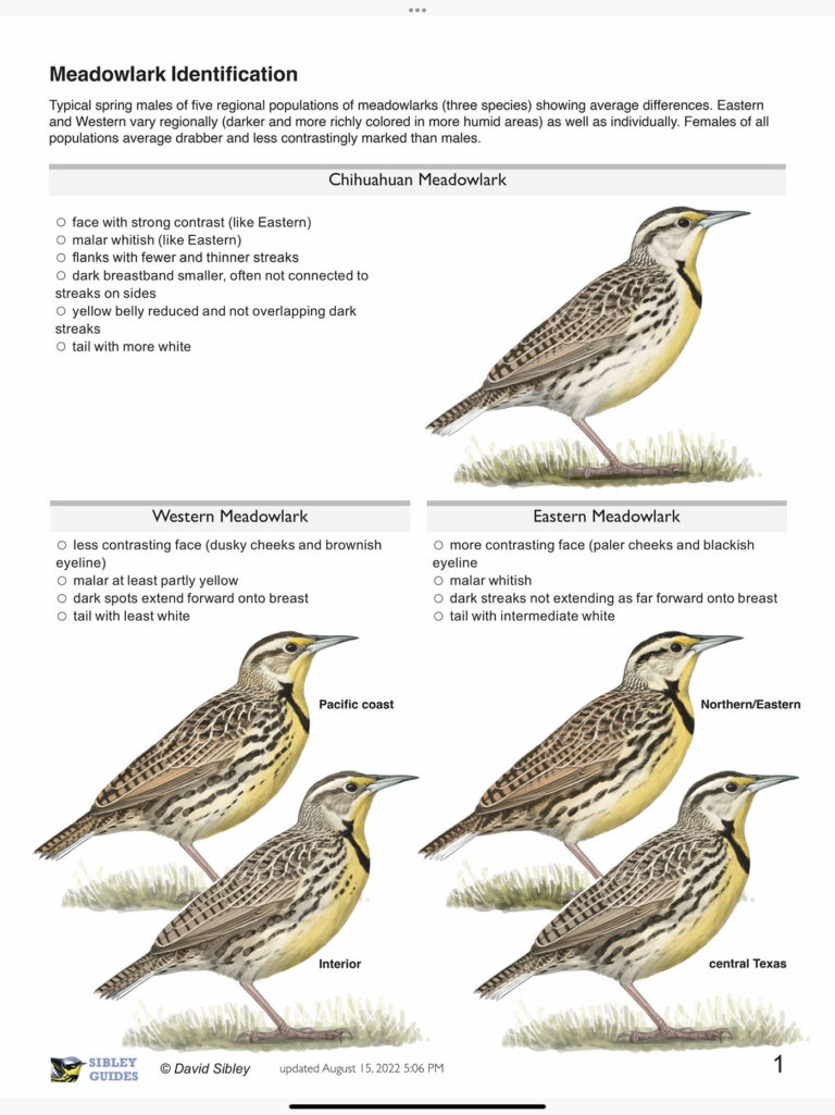 Sibley Guides – Identification of North American birds and trees