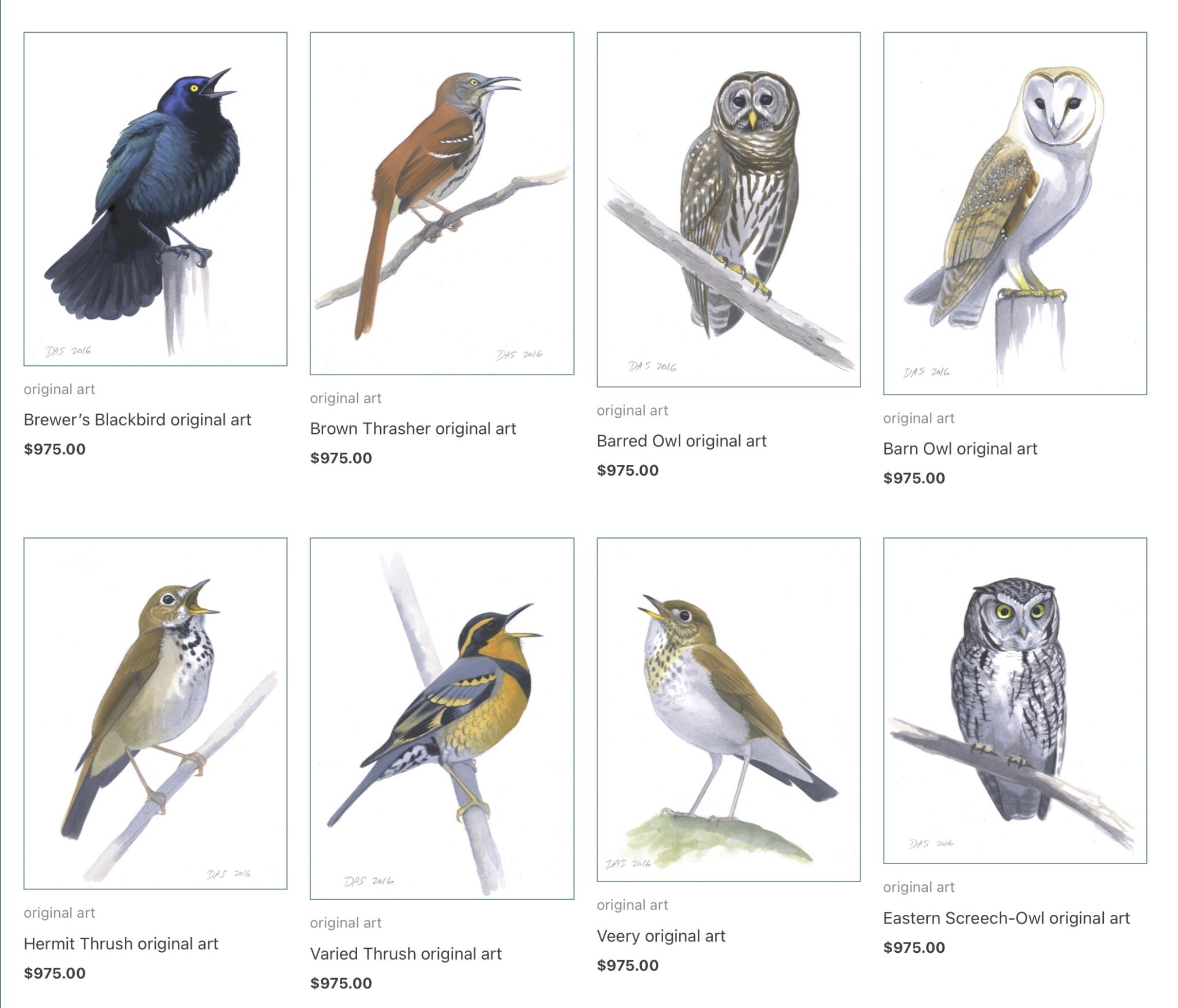 Sibley Guides – Identification of North American birds and trees