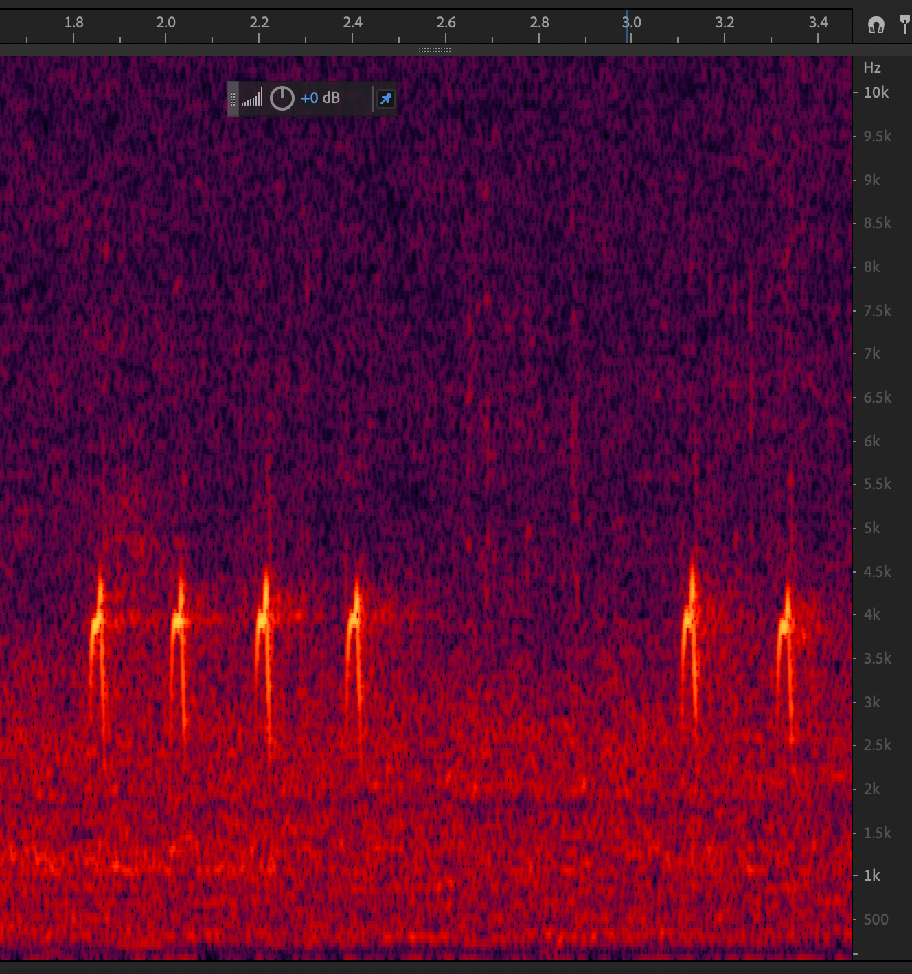 Red Crossbill call variants in Montague, MA – Sibley Guides