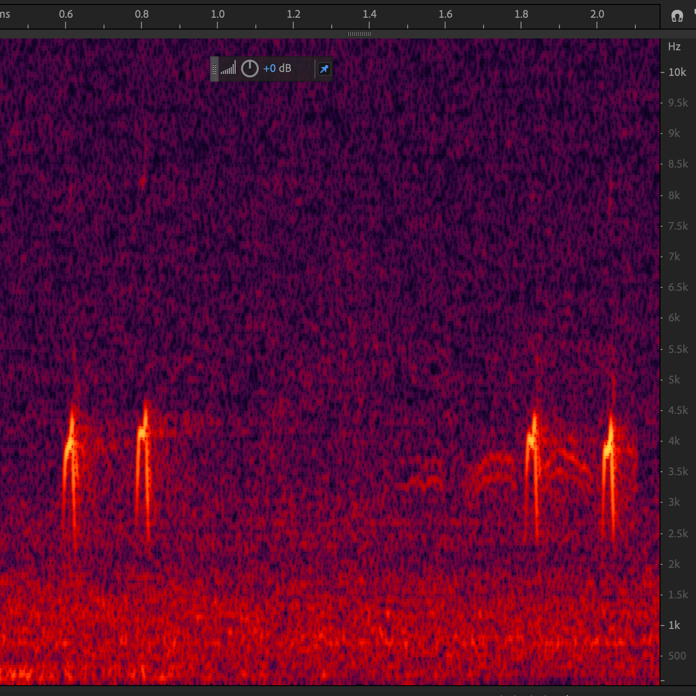 Red Crossbill call variants in Montague, MA – Sibley Guides