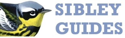 The Sibley Guide to Birds – Sibley Guides