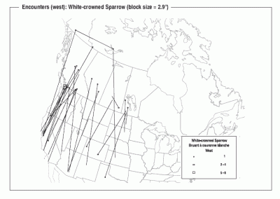 Questions about Starling migration – Sibley Guides